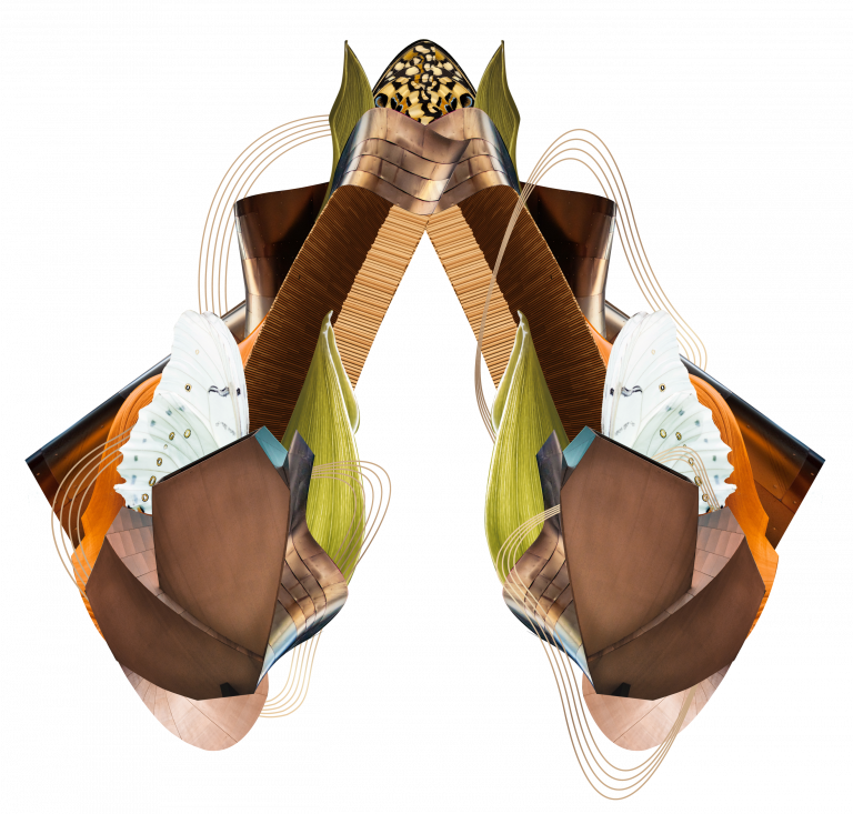 vyoo.link | Source: NEW FAQ’s